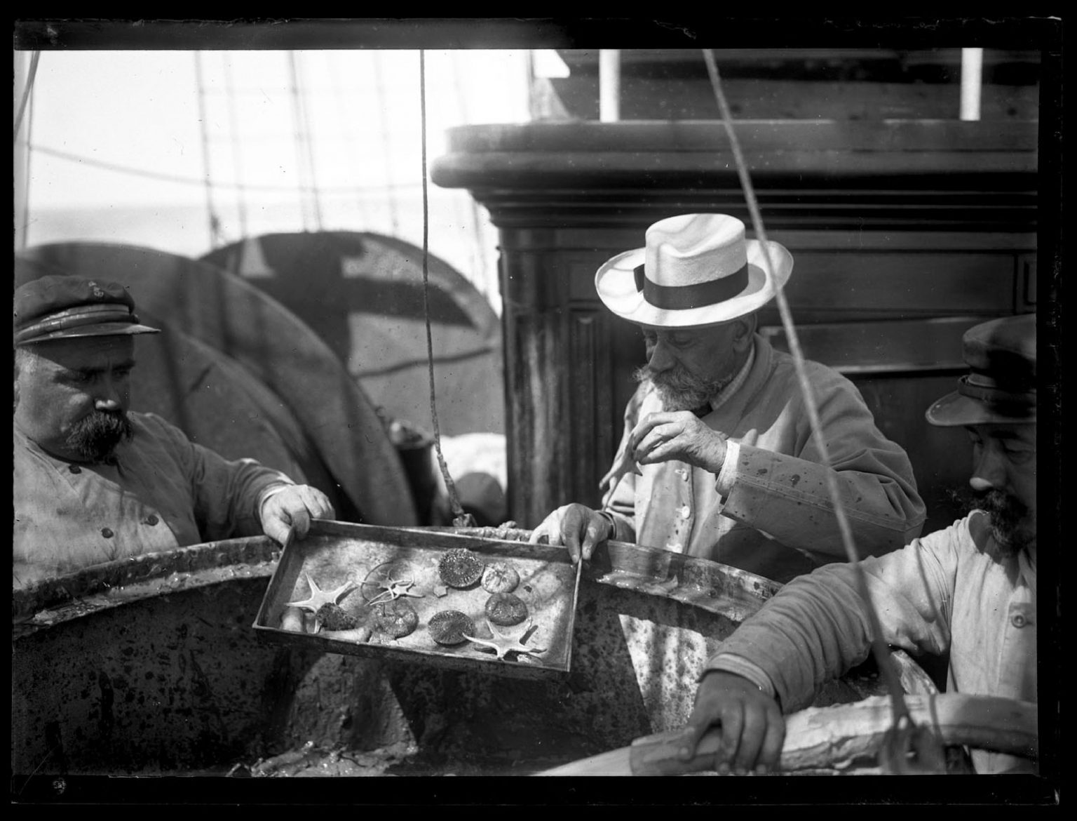 5 - El descubrimiento de la anafilaxia - Institut océanographique