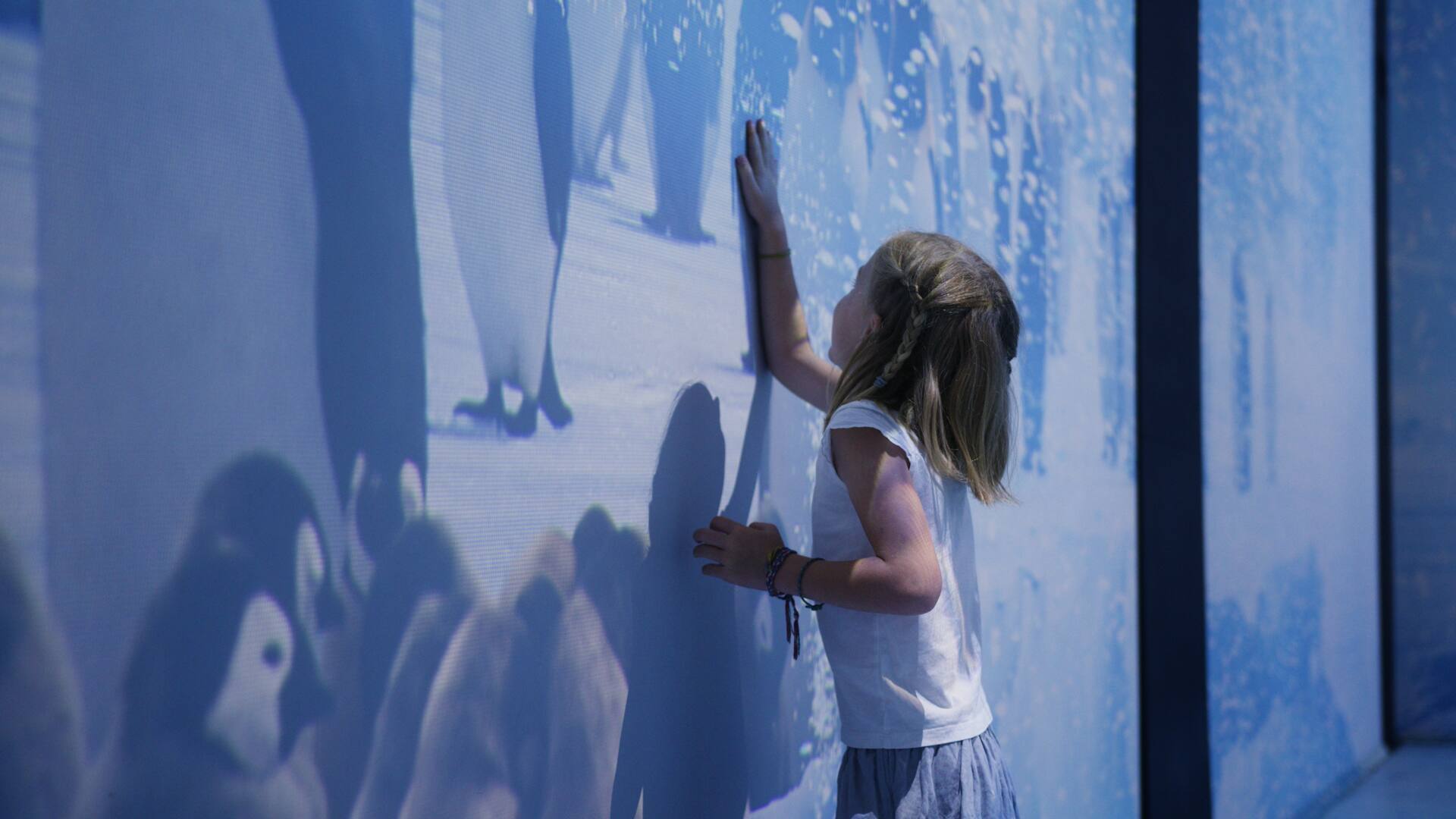 Set off on a “POLAR MISSION” at the Oceanographic Museum of Monaco from ...