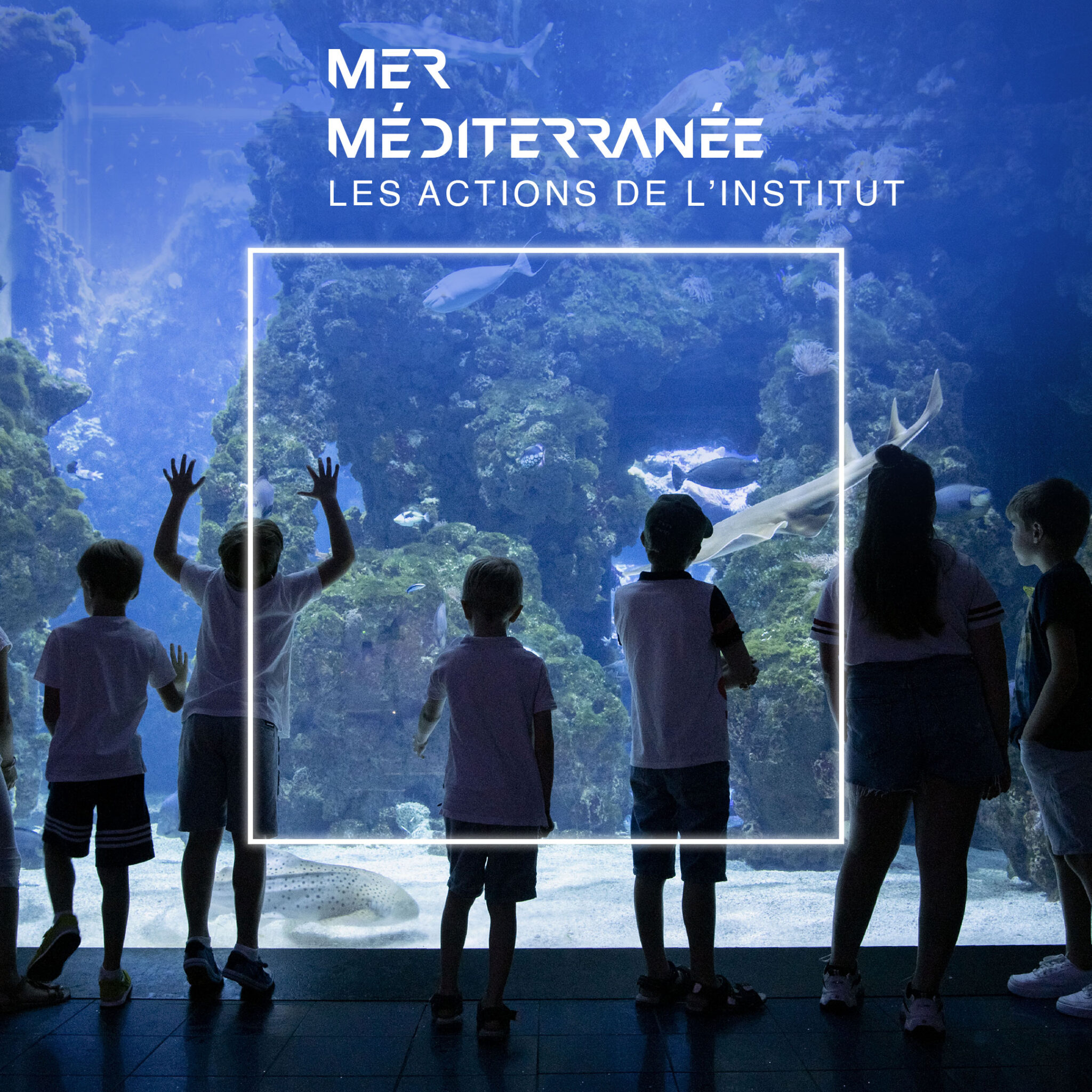 "Exposition Méditerranée 2050" - Les actions de l'Institut - Institut ...
