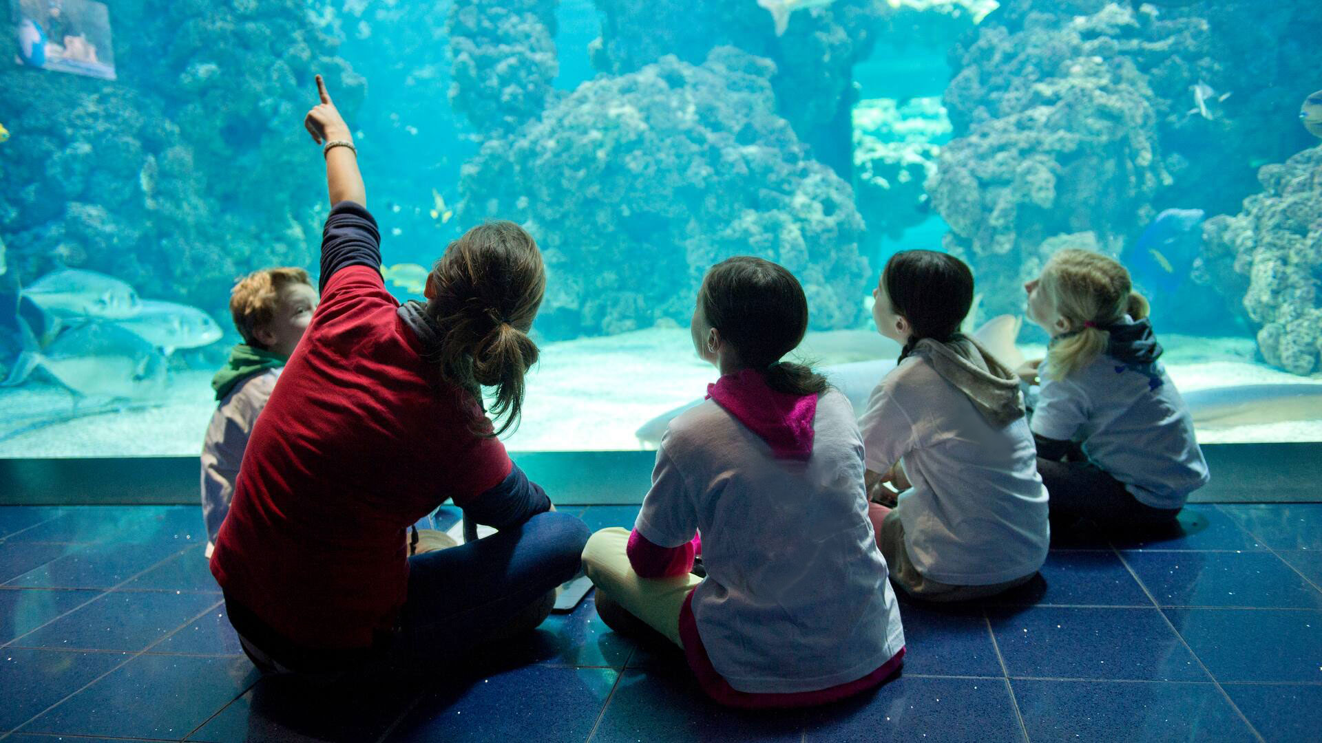 "Exposition Méditerranée 2050" - Les actions de l'Institut - Institut ...